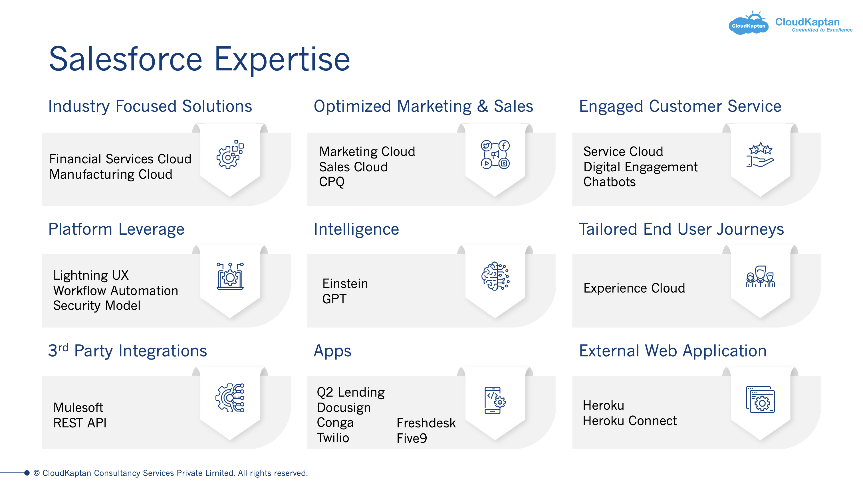 salesforce expertise