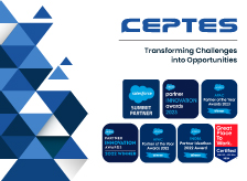 all consultants ceptes a trusted msp pdo si isv partner since 2010