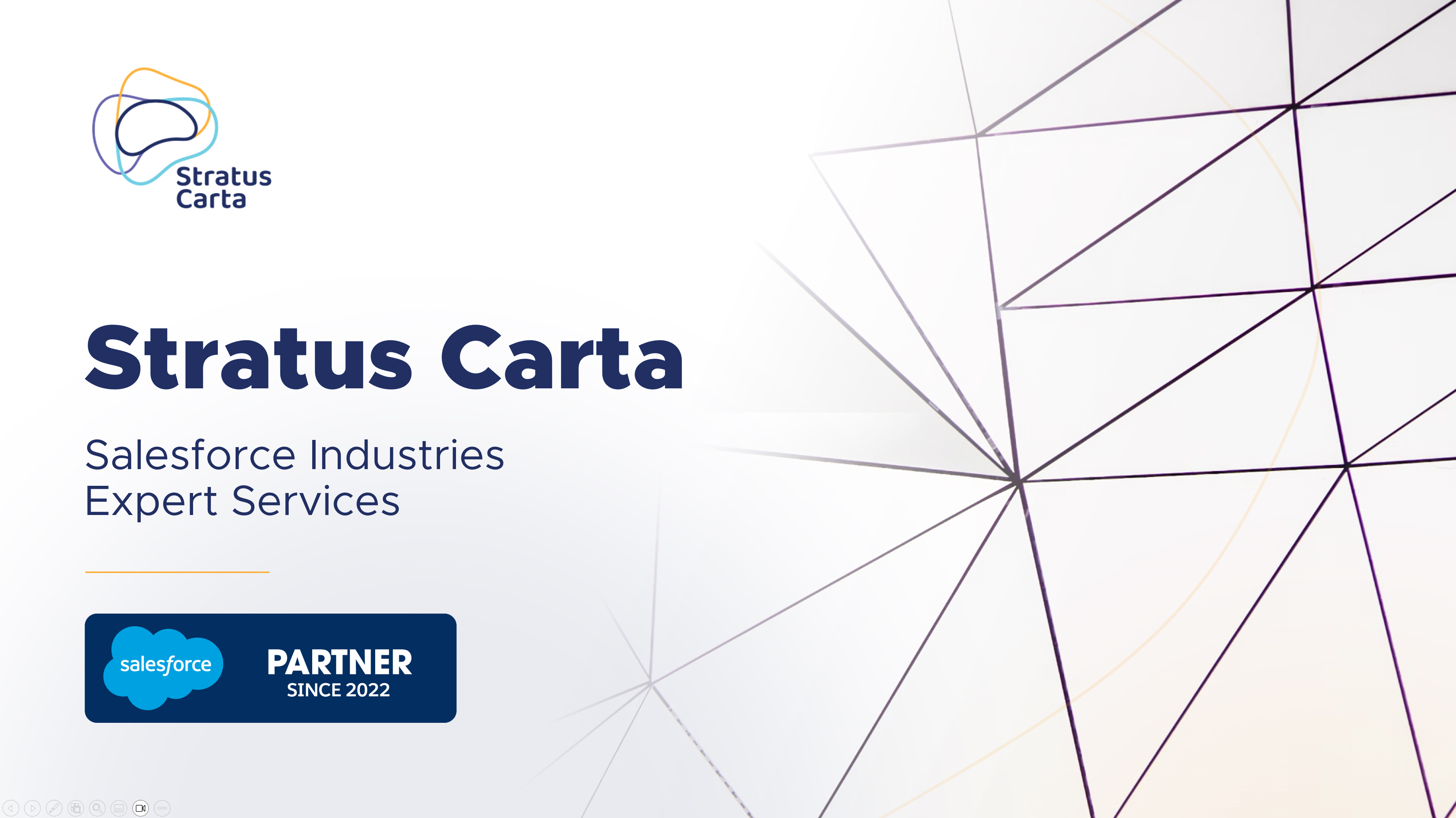 stratus carta salesforce industries expert services