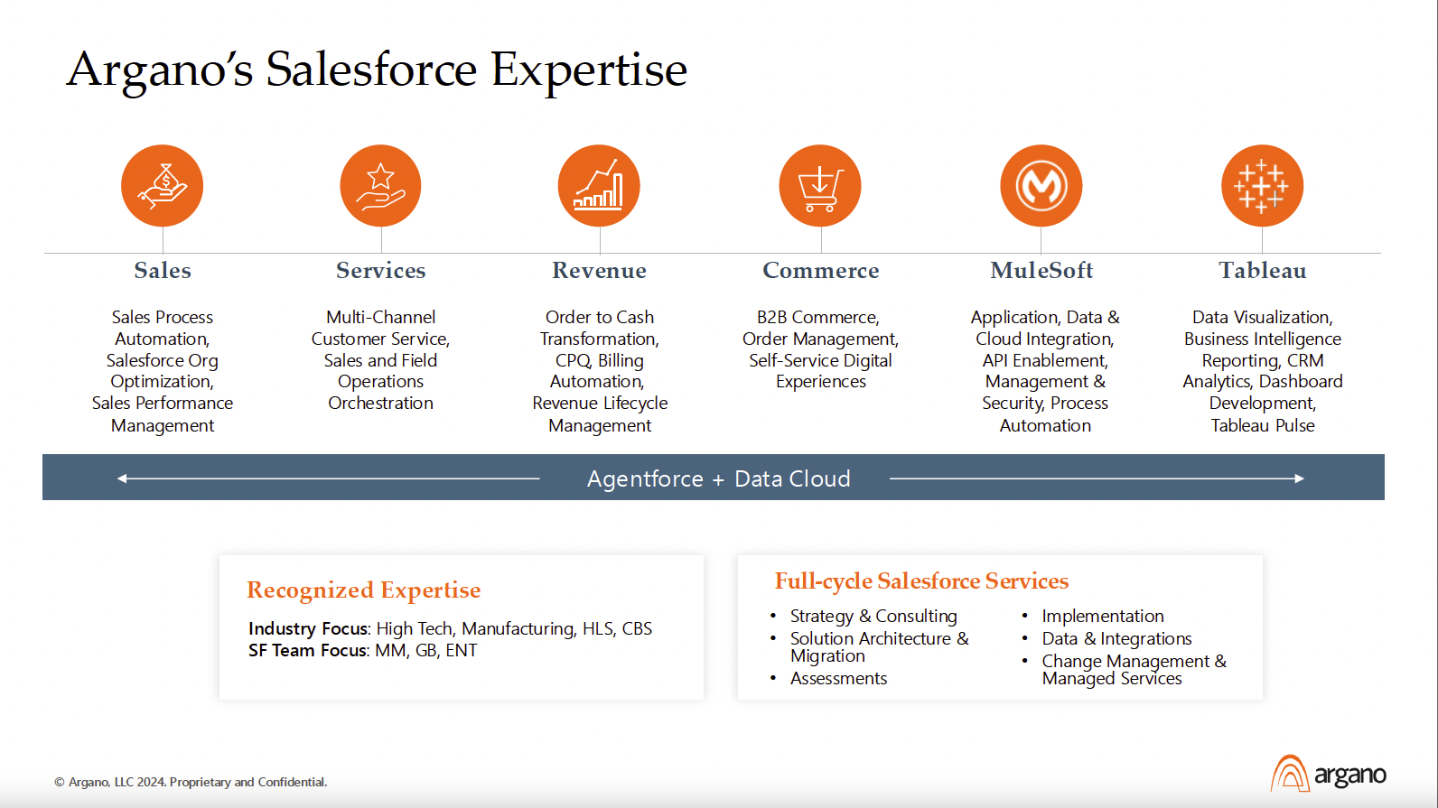 argano salesforce domain expertise